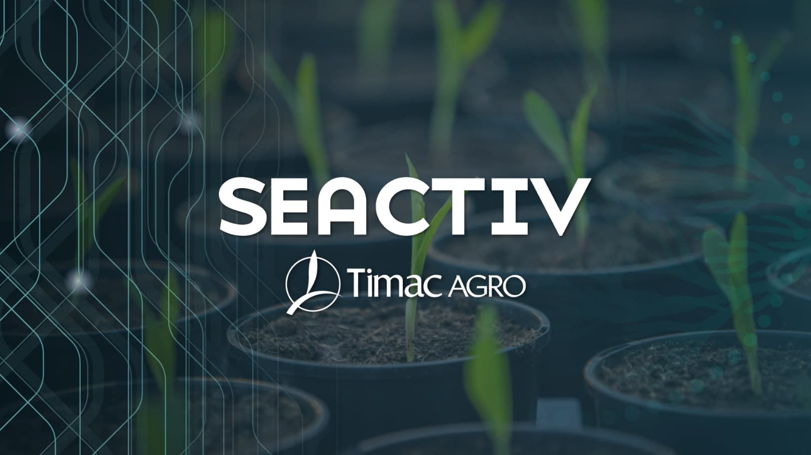 SEACTIV, NUEVO BIOESTIMULANTE FOLIAR DE TIMAC AGRO
