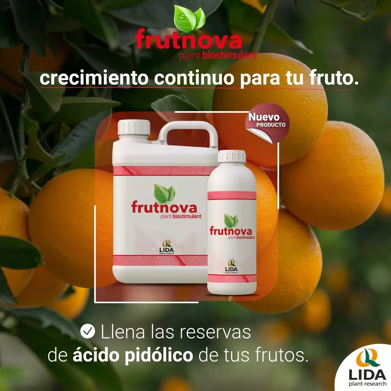 LIDA Plant Research lanza su nuevo producto Frutnova