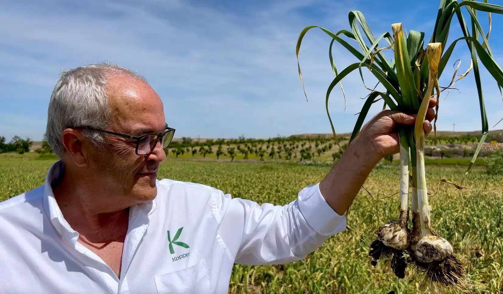La combinación de insectos y nematodos beneficiosos de Koppert