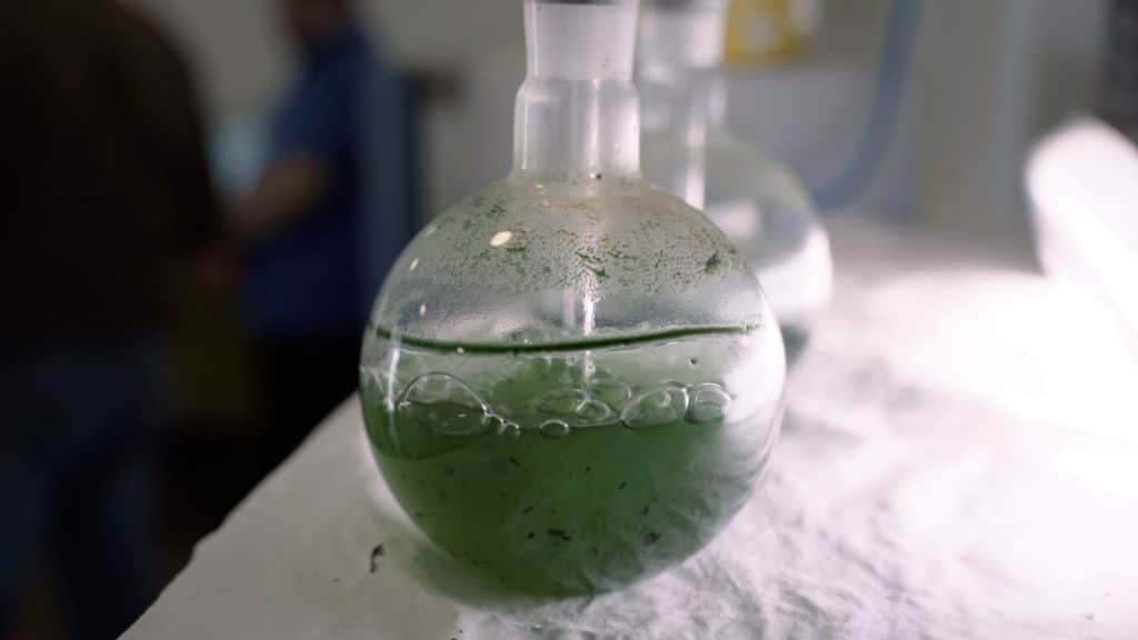 Biorizon Biotech, tecnología Trietech© basada en microalgas